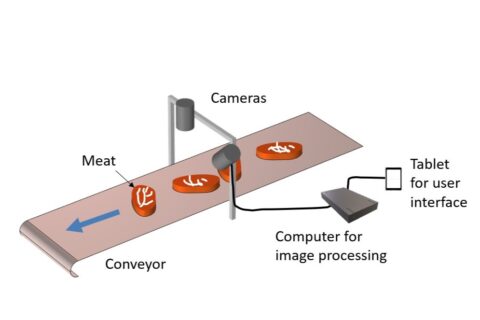 SC wins USDA SBIR Phase III Funding to Develop a Rapid Real-time Image ...